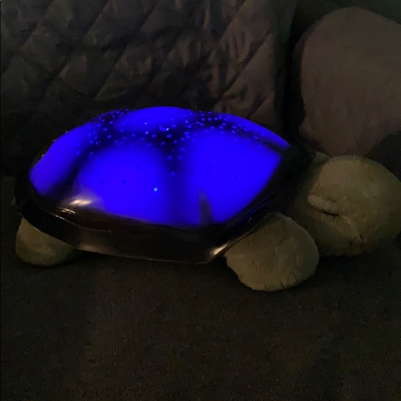 Other | Cloud B Light Up Turtle | Poshmark